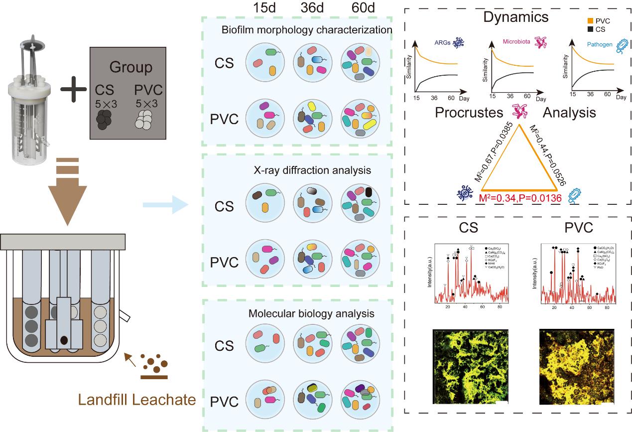 宋立岩研究员课题组揭示了抗生素抗性基因在典型环境表面的富集特征